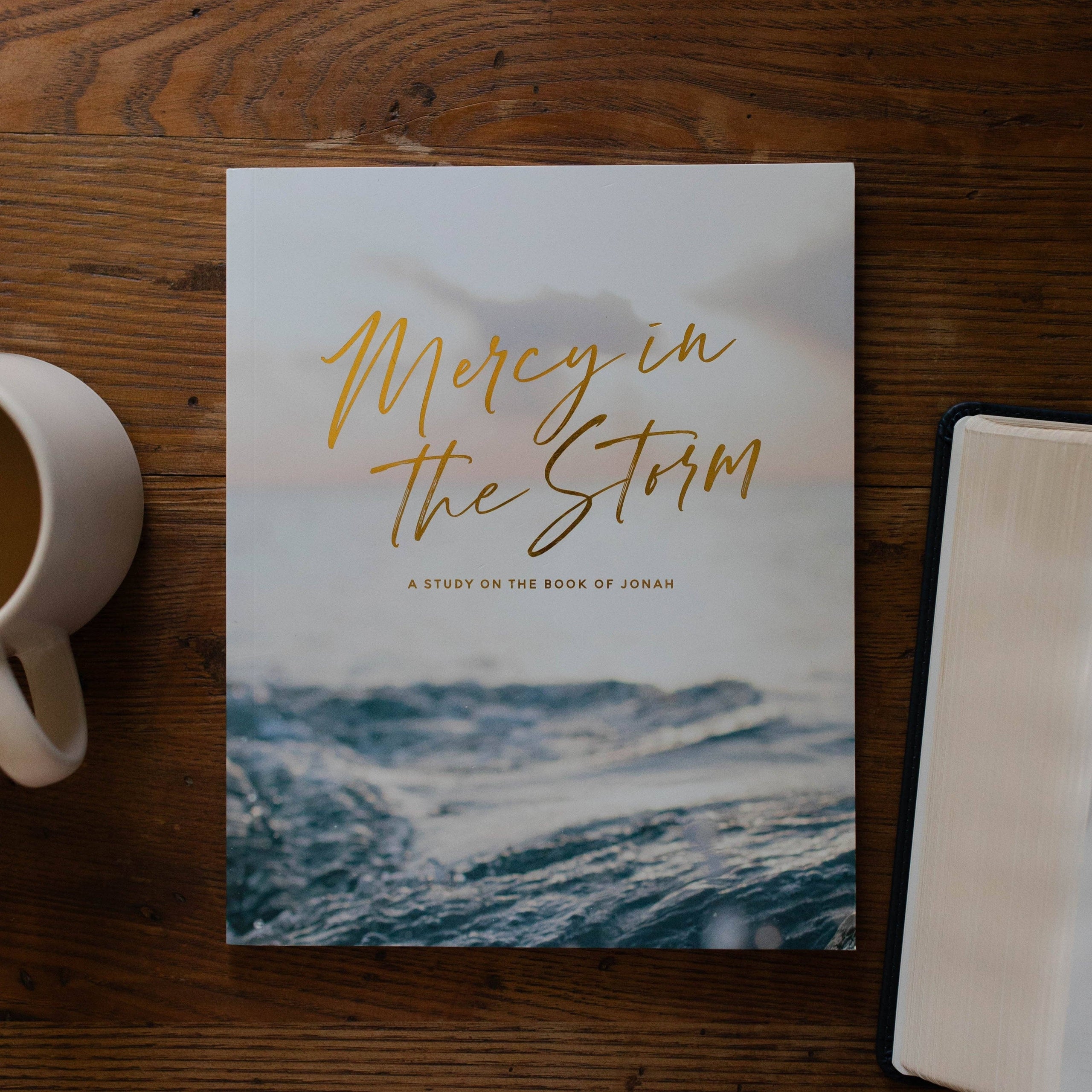 Mercy in the Storm | A Bible Study on the Book of Jonah | Farm and Thread
